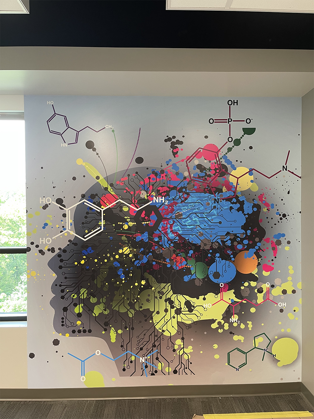 Interior and Exterior Graphic Installations - Legion Graphics